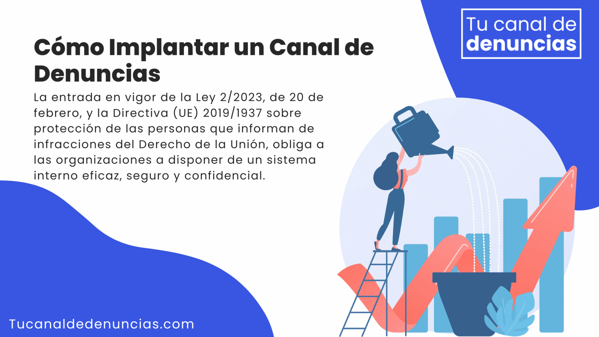 Cómo Implantar un Canal de Denuncias - Tu Canal de Denuncias